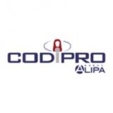 Codipro – Lifting Equipment Store USA